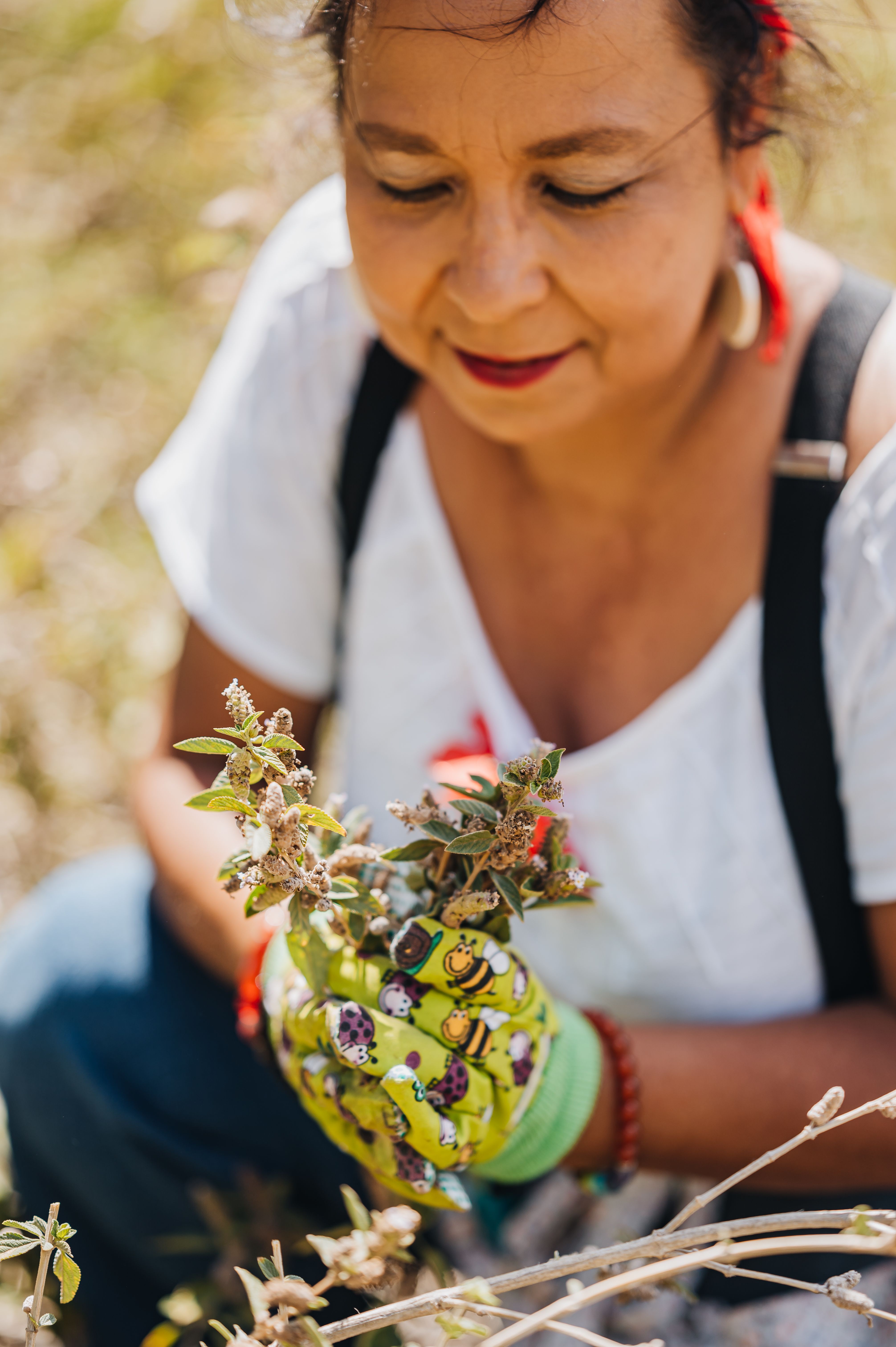 Cherry Ras - The creation of Aruba Tea Company