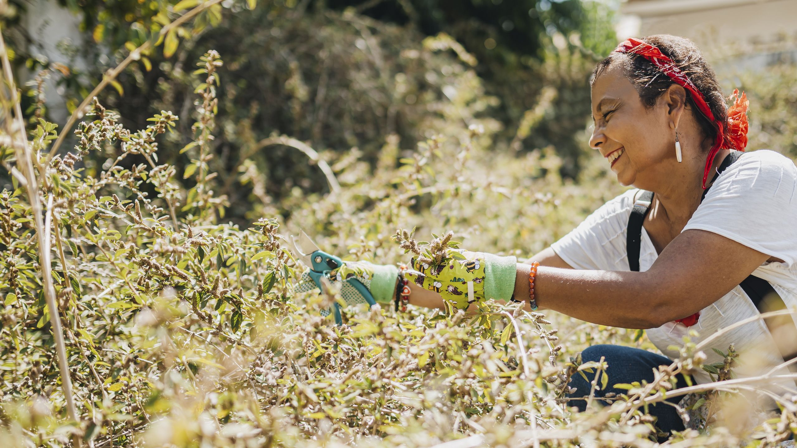 Cherry Ras - The creation of Aruba Tea Company