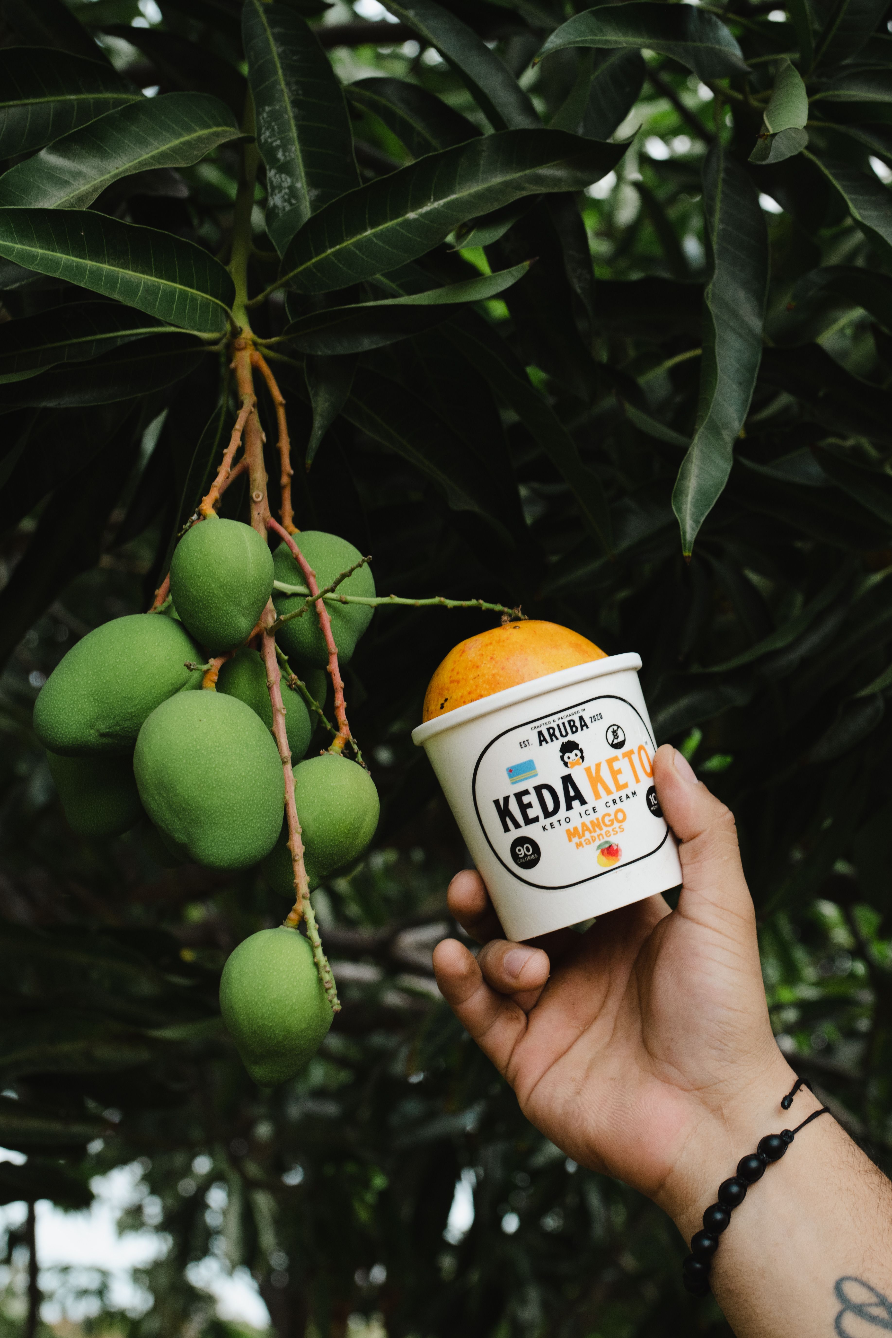 Gino Montsanto - Un dieet a cuminsa tur cos 'Keda Keto'